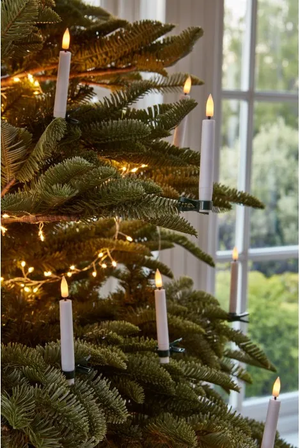 Lightstyle London LED Lights | Edmonds | Edmonds